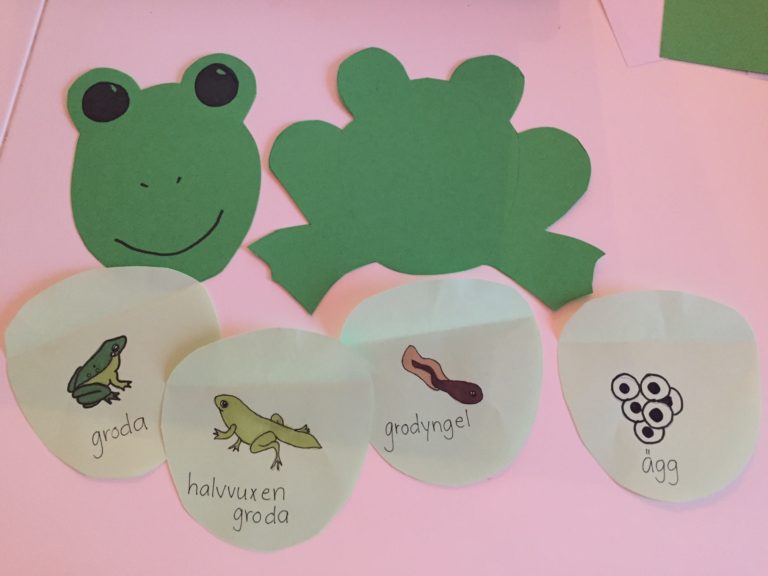 Öppetklassrum - Grodan!